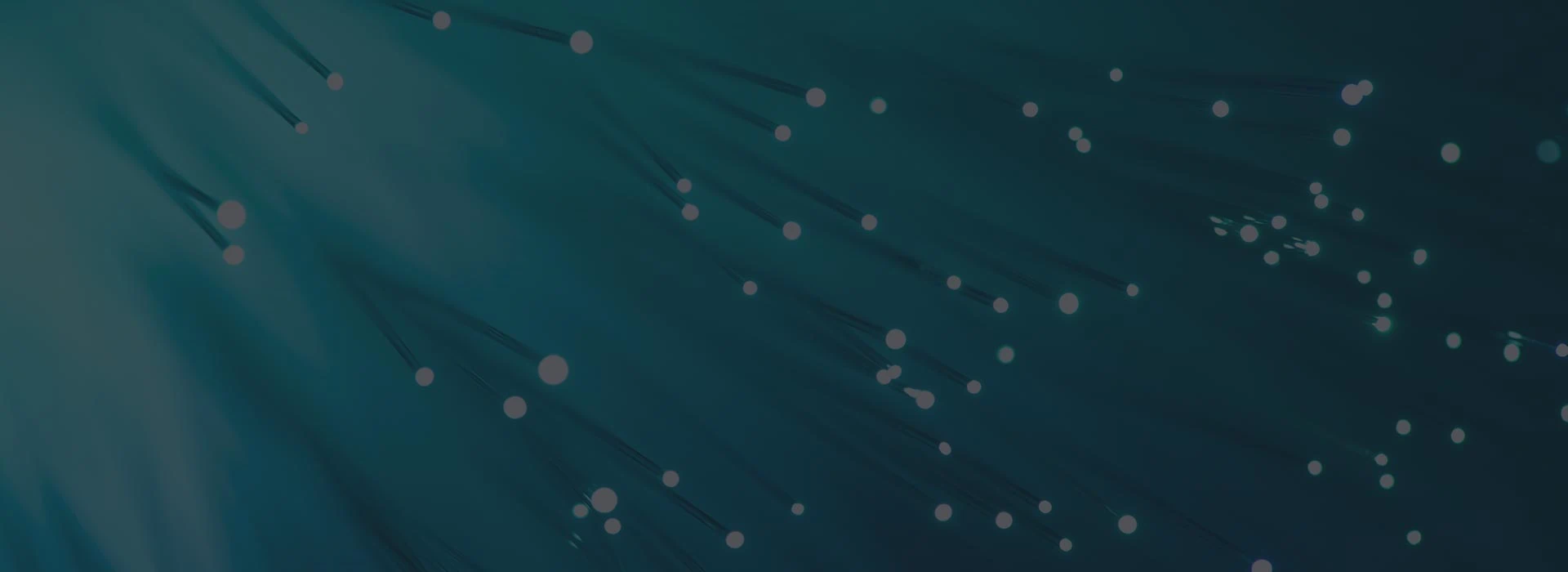 Rational Business Solutions | Our Approach